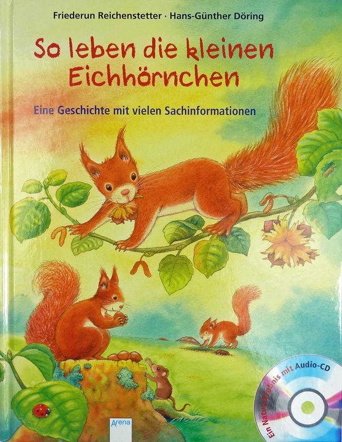 So leben die kleinen Eichhörnchen